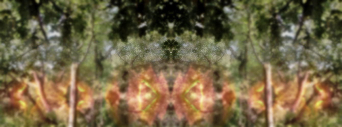 Waldgeist Foto & Bild | fotomontage, fantasy mystery, surreal Bilder ...