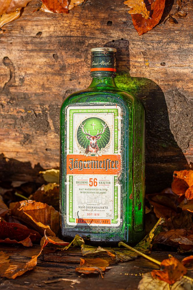 Waldgeist Foto & Bild | fotos, natur, details Bilder auf fotocommunity