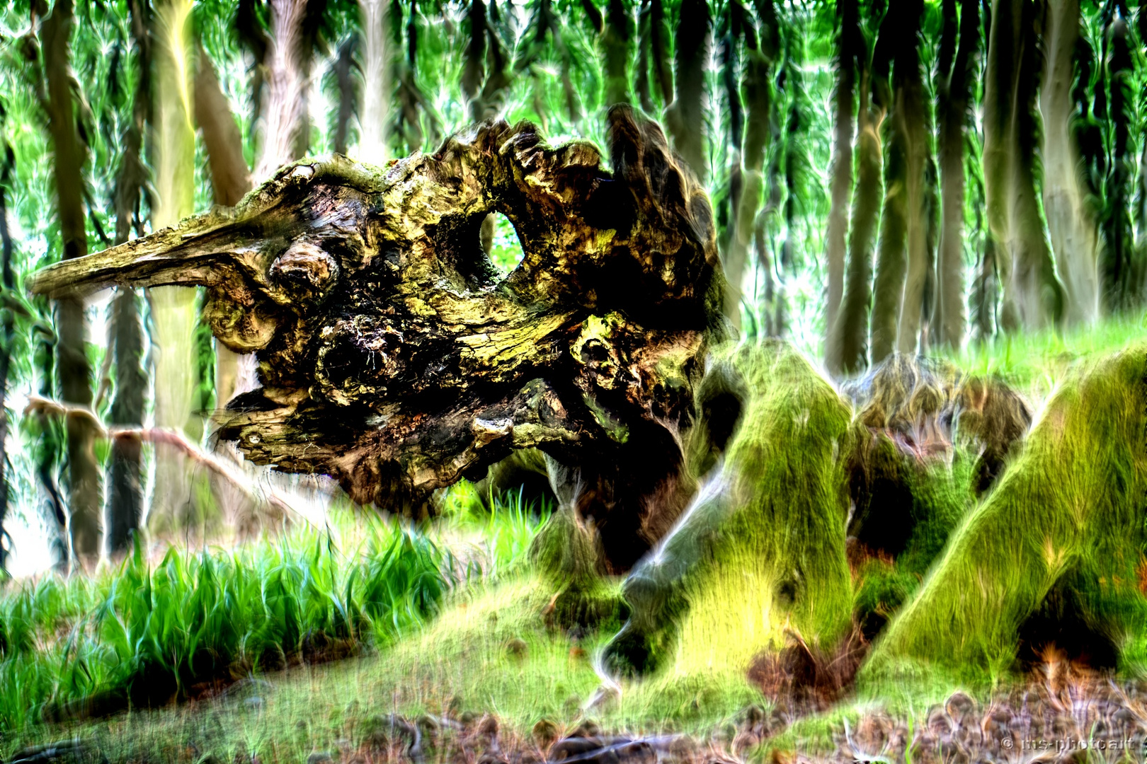 Waldgeist Foto & Bild | abstraktes, natur-kreativ, aufnahmetechniken ...