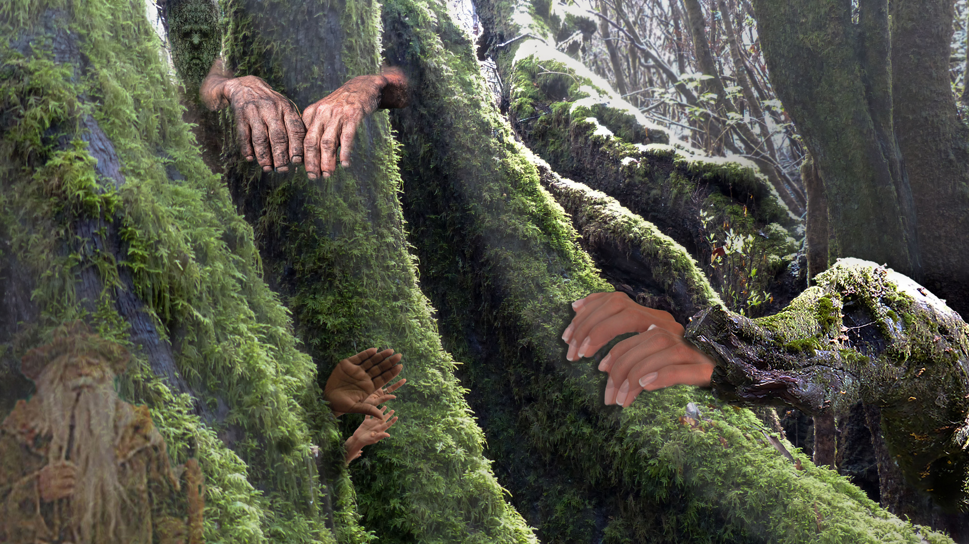 Waldgeist Foto & Bild | digiart- challenge, 120 - kunst der hände, digi ...