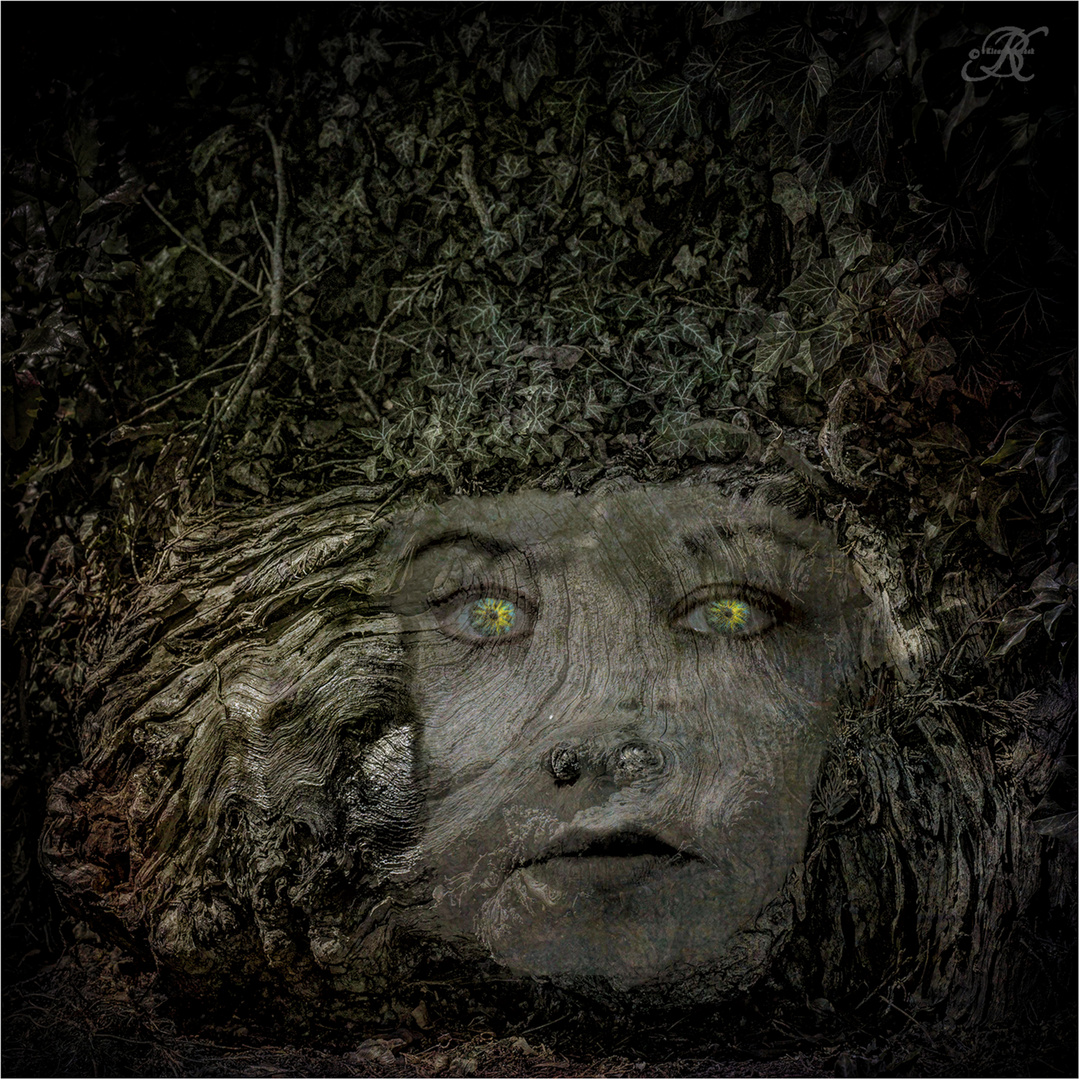 Waldgeist Foto & Bild | kunstfotografie & kultur, bräuche, halloween ...