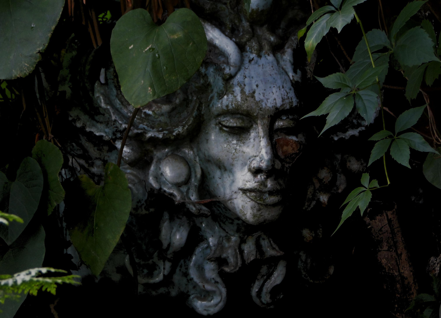 Waldgeist Foto & Bild | märchenbilder, specials, spezial Bilder auf ...