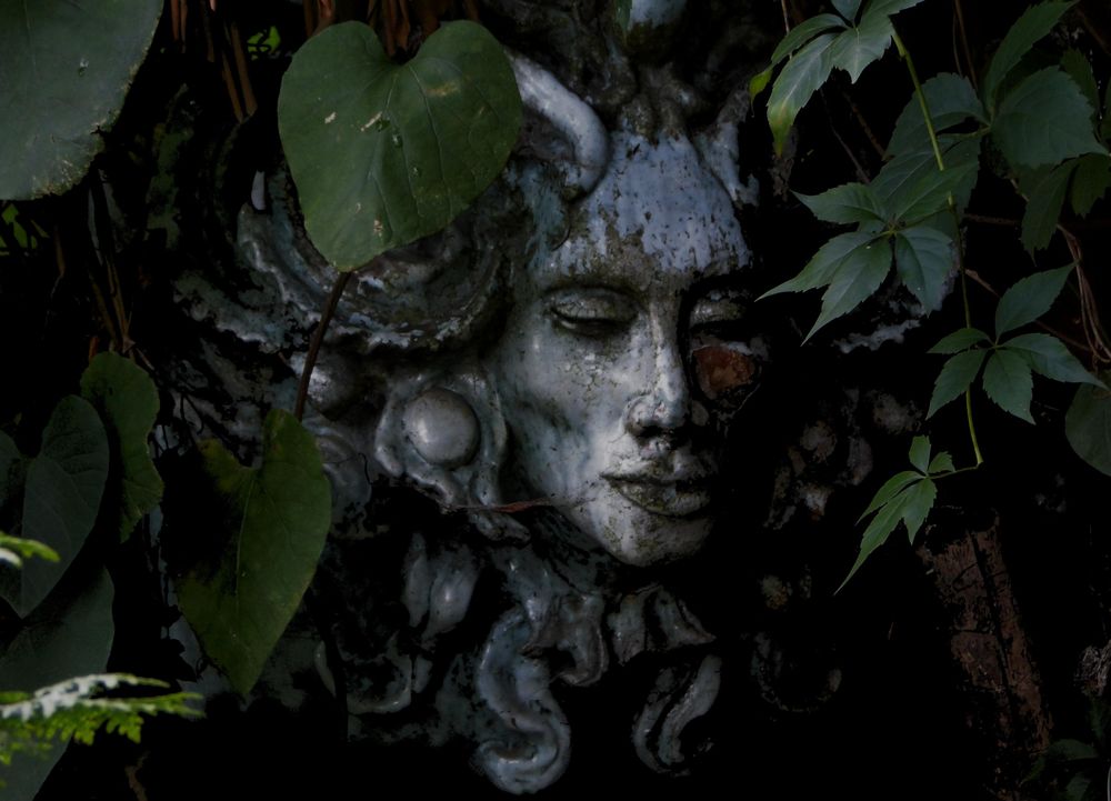 Waldgeist Foto & Bild | märchenbilder, specials, spezial Bilder auf ...