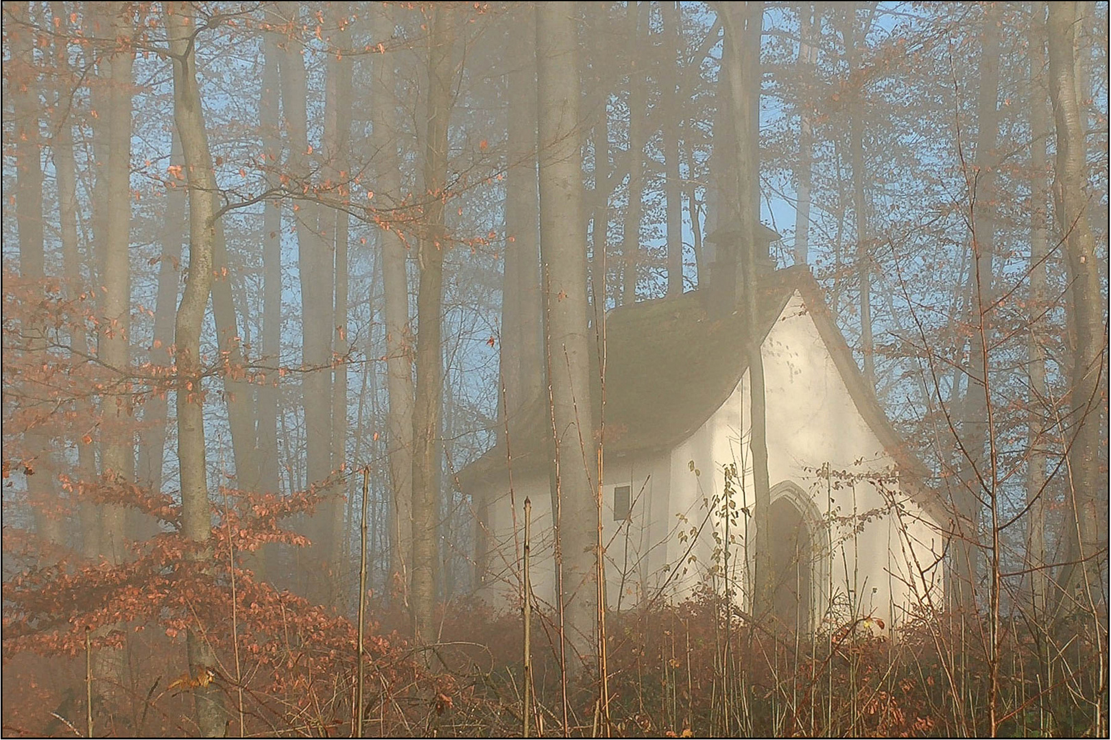 Waldkapelle Muri bei Bern Foto & Bild | world, wald, sonne Bilder auf ...