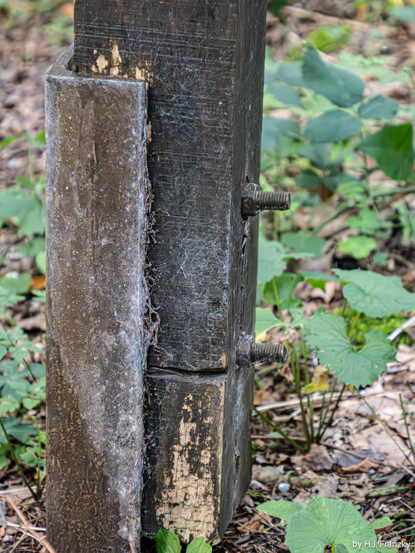 Waldlehrpfadhinweisschildpfahlhaltemuttern Foto & Bild | projekte, 3 ...