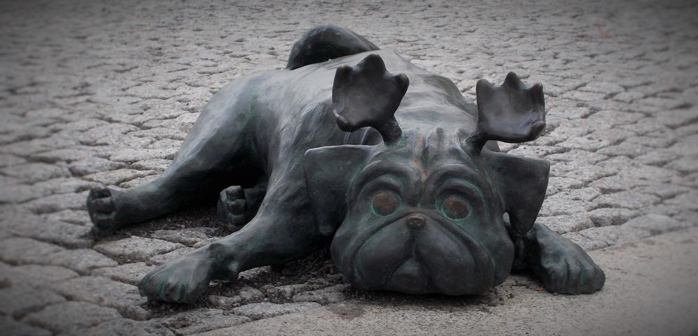 Waldmops an der Werft Foto & Bild | world, brandenburg, loriot Bilder ...