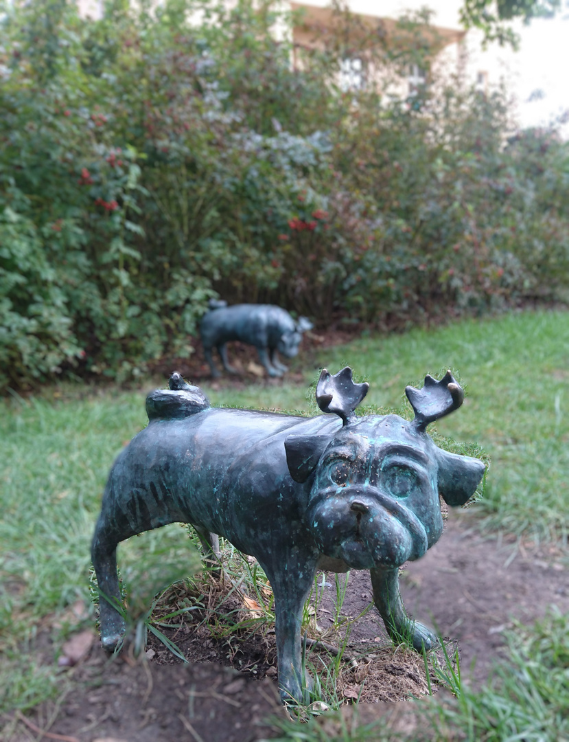 Waldmops im Team Foto & Bild | world, brandenburg, loriot Bilder auf ...