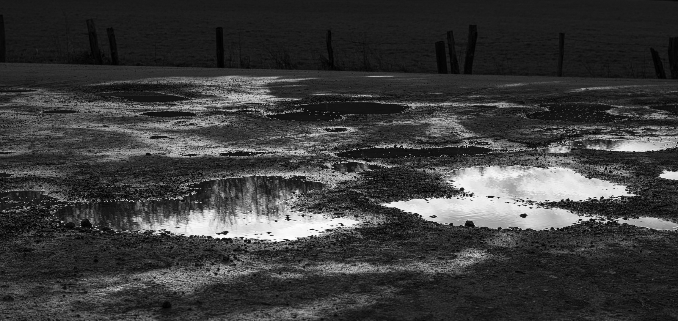 Waldparkplatz Foto & Bild | projekte, monochrom, bearbeitungs - techniken Bilder auf fotocommunity