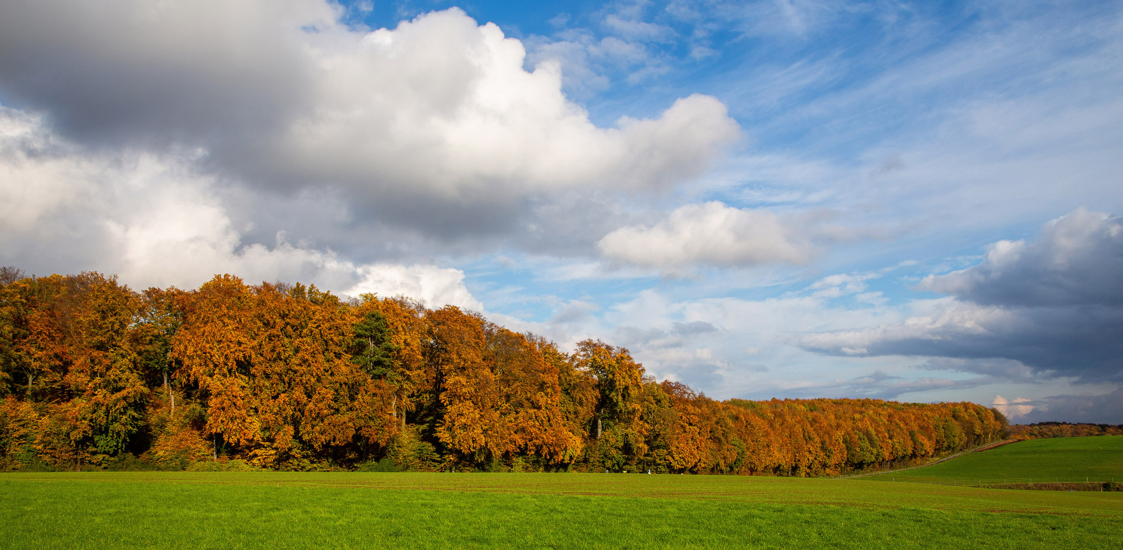 Waldrand Foto & Bild | landschaft, jahreszeiten, herbst Bilder auf fotocommunity