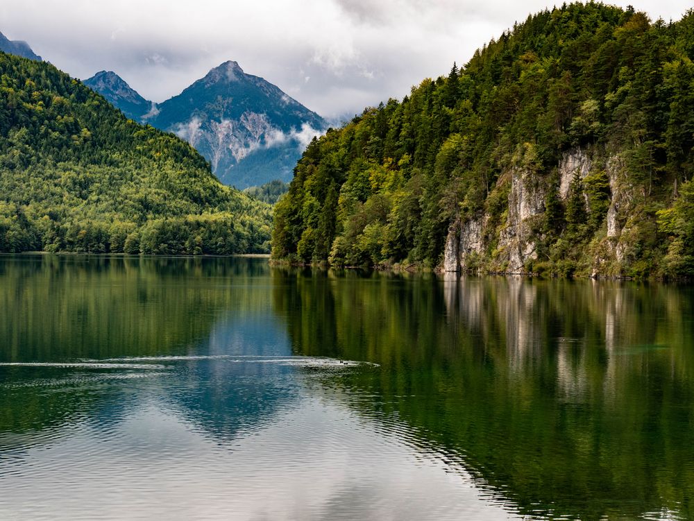 Waldsee Foto & Bild | landschaft, berge, natur Bilder auf fotocommunity