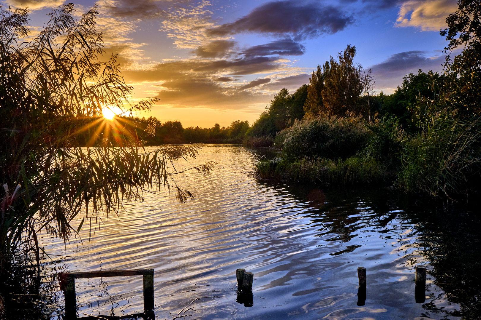 Waldsee Foto & Bild | landschaft, jahreszeiten, herbst Bilder auf ...