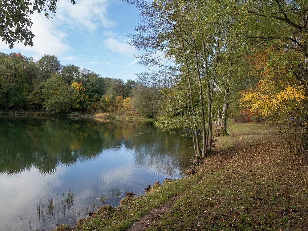 Waldsee im Herbst Foto & Bild | bäume, teich, natur Bilder auf ...