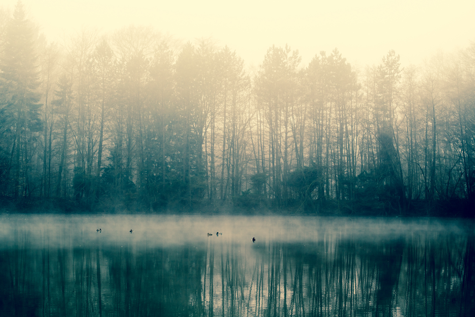Waldsee im Nebel Foto & Bild | wald, sonnenaufgang, stille Bilder auf ...