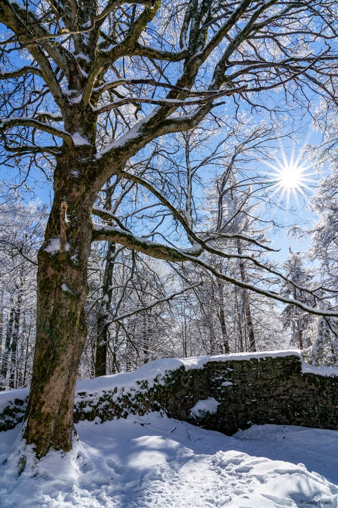 Waldstein Foto & Bild | deutschland, europe, bayern Bilder auf ...