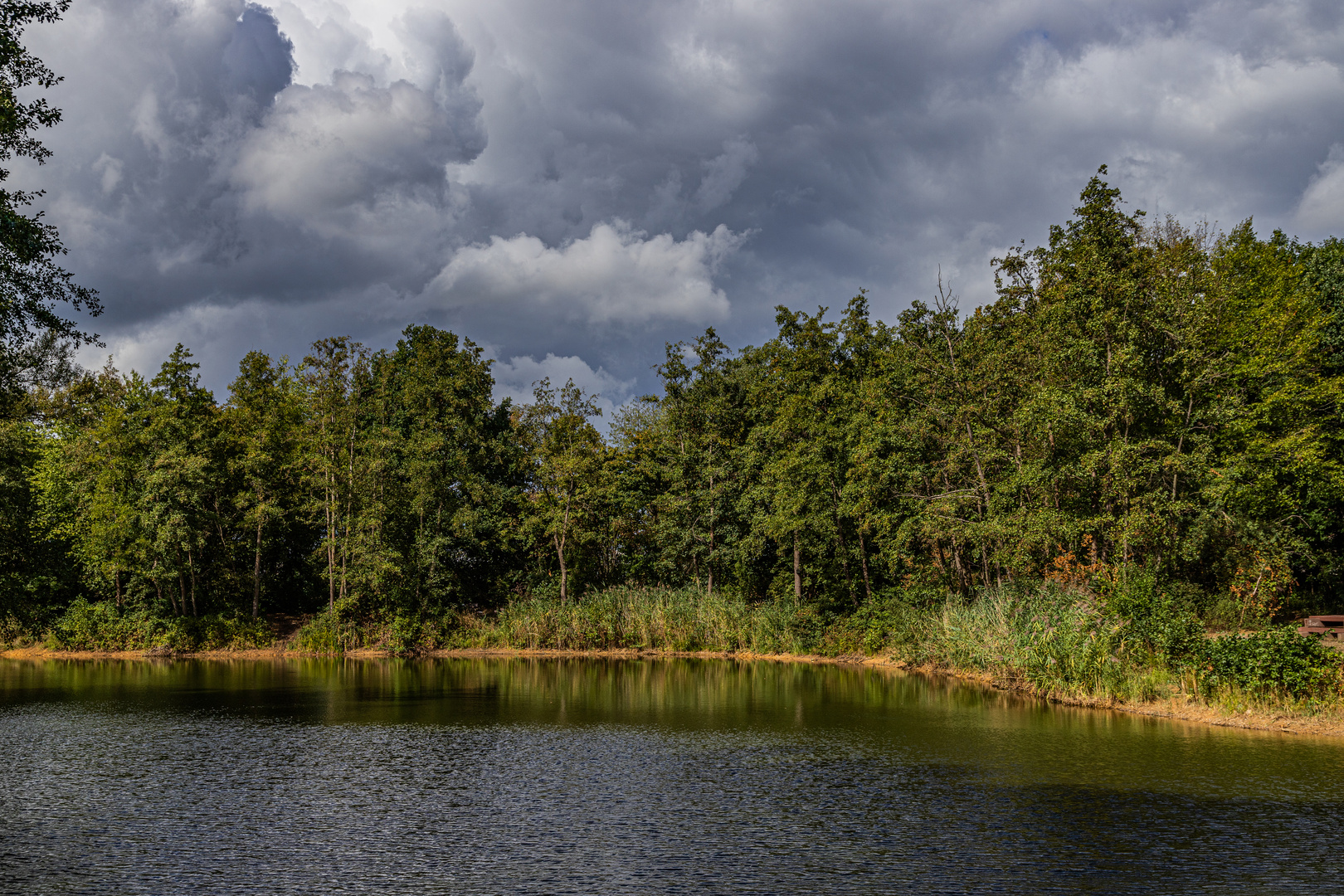 Waldteich Foto & Bild | landschaft, bach, fluss & see, wald Bilder auf fotocommunity
