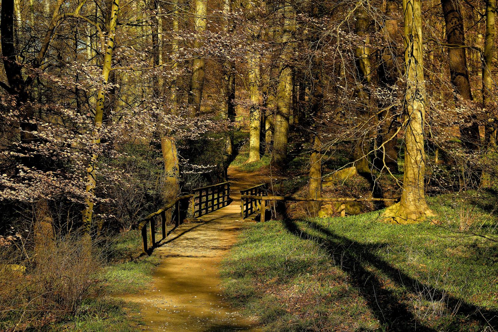 Waldweg Foto & Bild | landschaft, wald, berliner umland Bilder auf ...