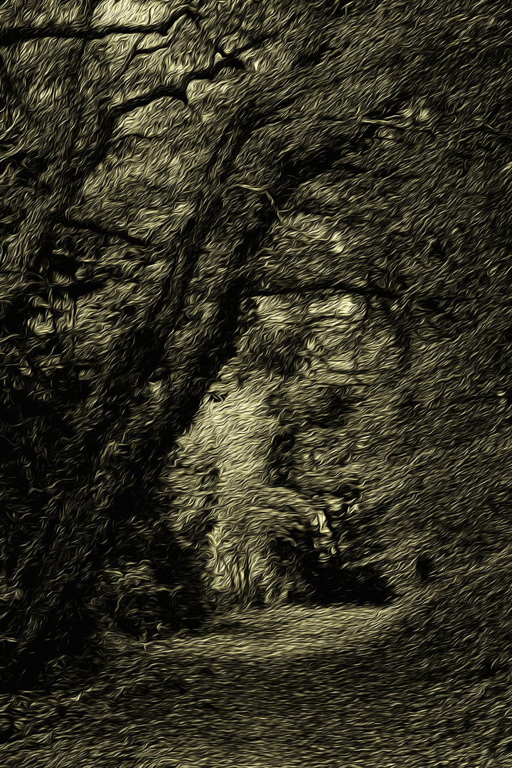 Waldweg Foto & Bild | projekte, monochrom, bearbeitungs - techniken Bilder auf fotocommunity