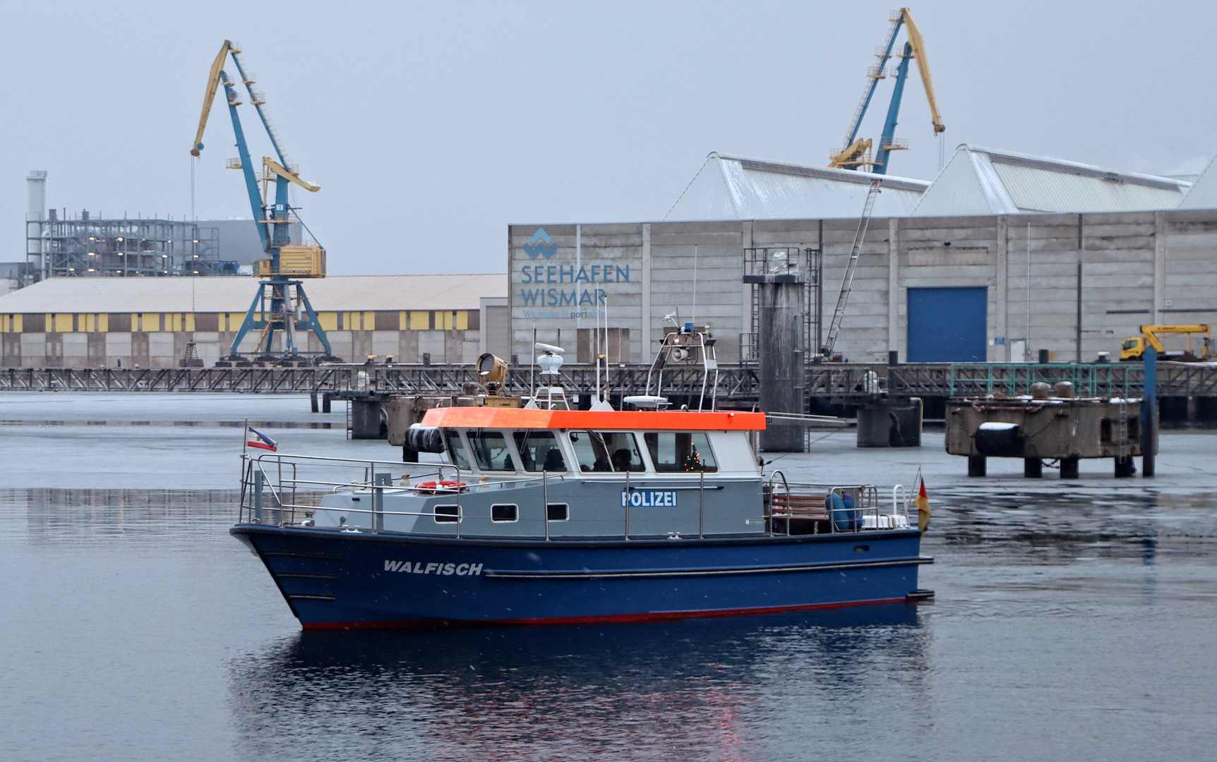 WALFISCH Foto & Bild | deutschland, europe, mecklenburg- vorpommern ...
