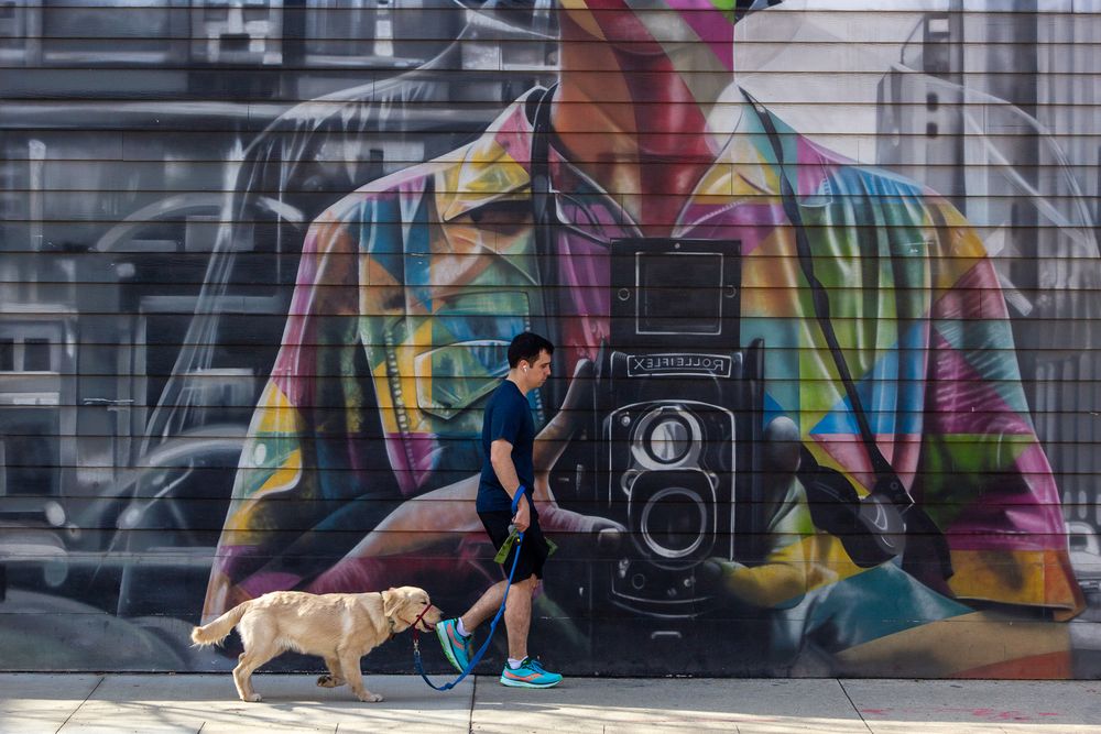 Walk the Dog - Captured Foto & Bild | street, usa, spezial Bilder auf ...