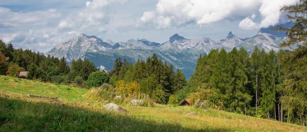 Walliser Alpen Foto & Bild | urlaub, fotos, wald Bilder auf fotocommunity