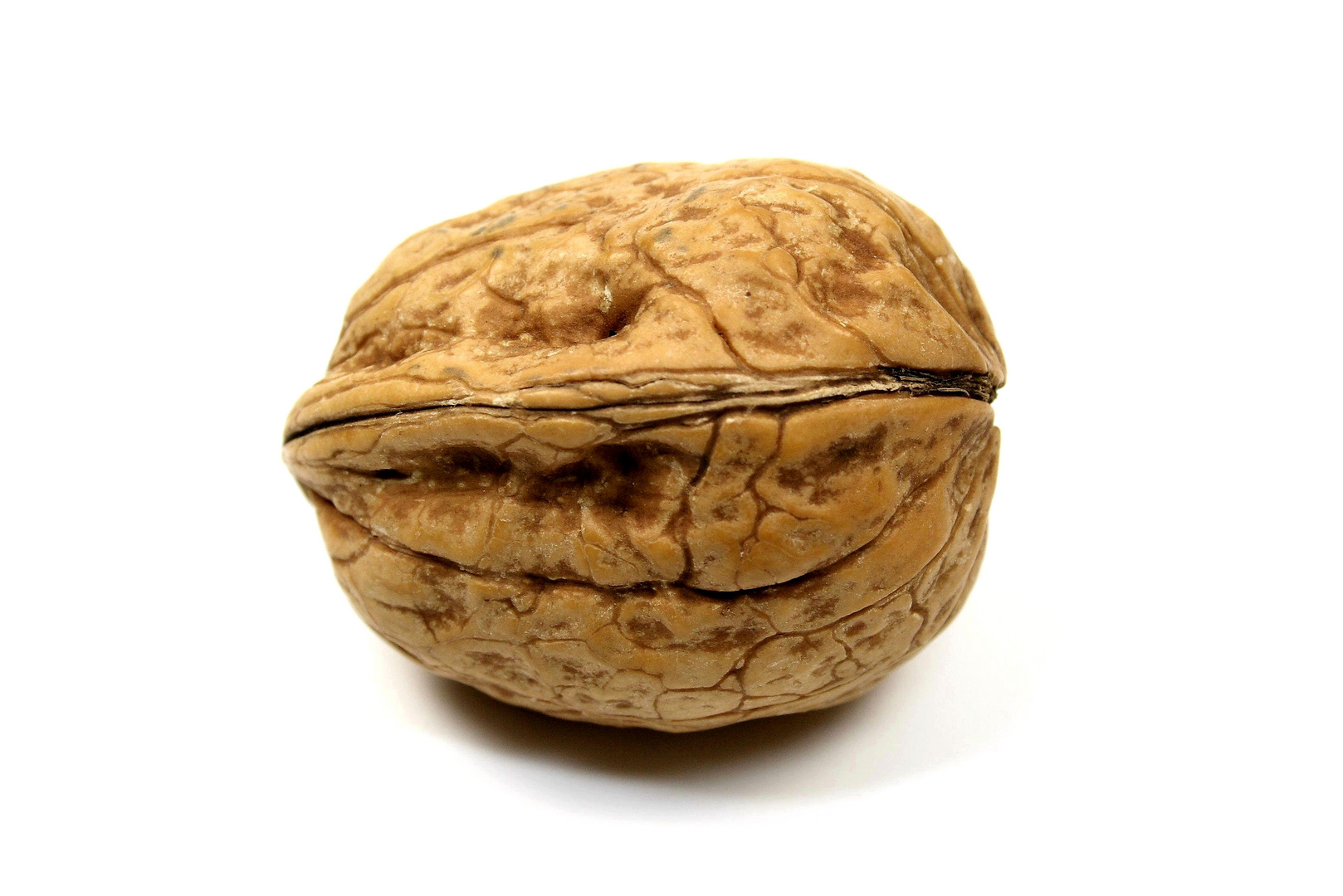 Walnüsse a Foto & Bild | stillleben, food-fotografie, obst & gemüse ...