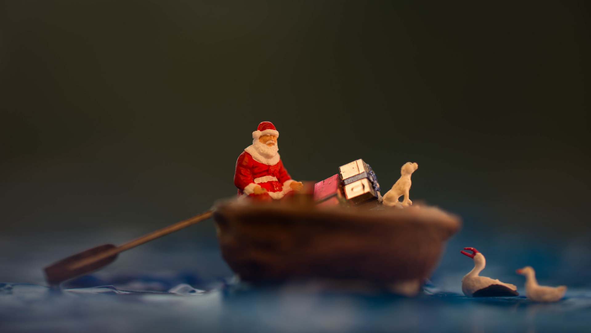 Walnuss Foto & Bild | stillleben, kunstfotografie & kultur, gratulation und feiertage Bilder auf ...