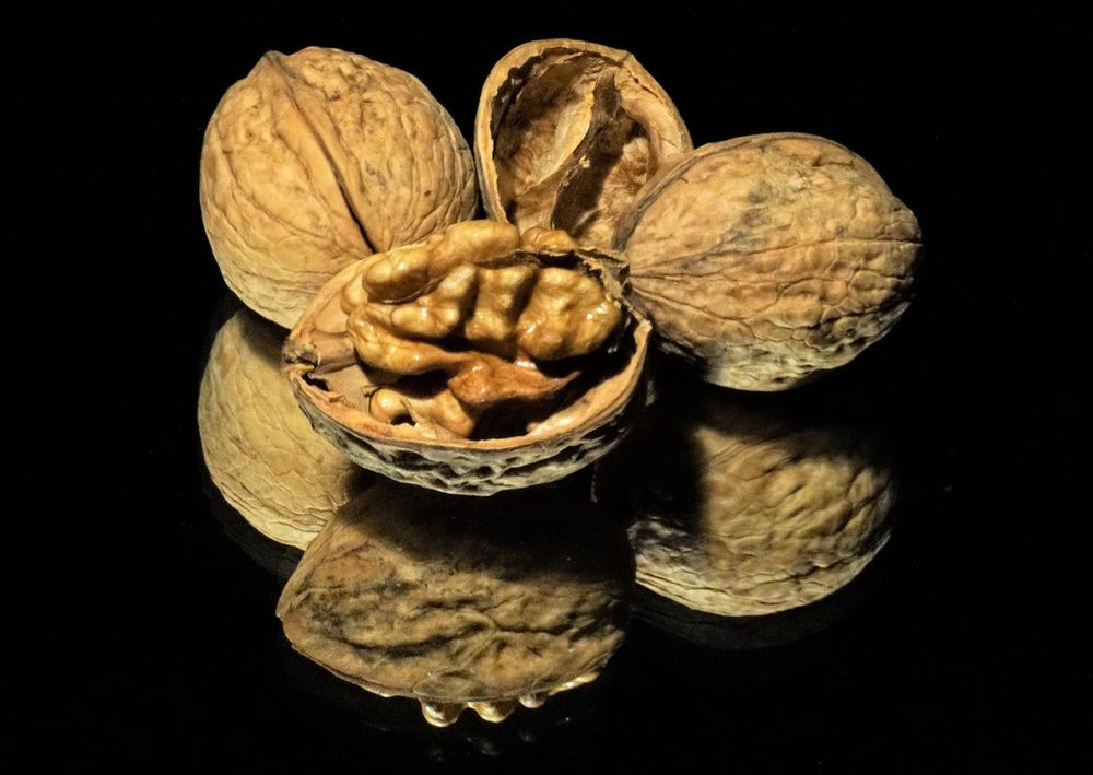 Walnuss Foto & Bild | fotos, spezial, makro Bilder auf fotocommunity