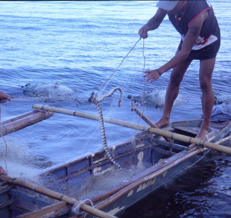 Walo Walo Foto & Bild | asia, philippines, southeast asia Bilder auf ...