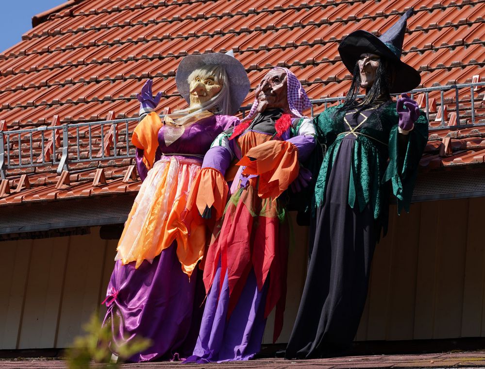 Walpurgis 1 Foto & Bild | motive, natur, world Bilder auf fotocommunity