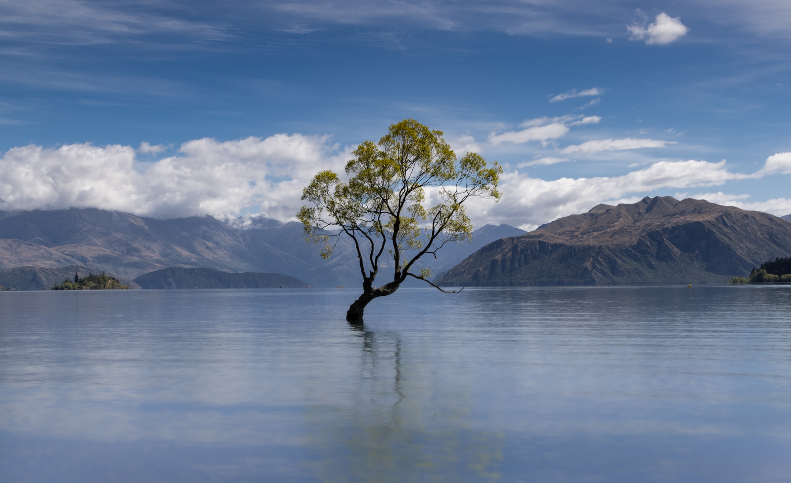 Wanaka Tree - Lake Wanaka, NZ Foto & Bild | australia & oceania, new ...