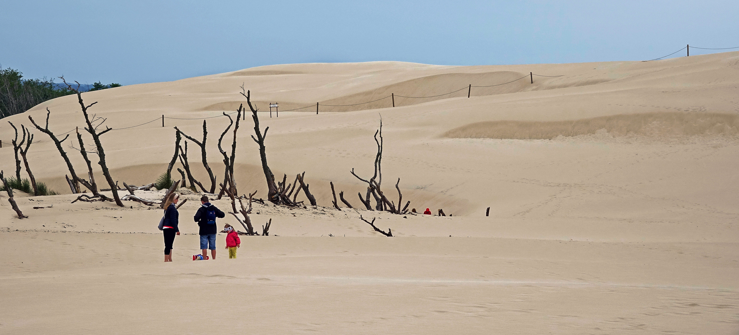 Wanderdüne Leba (Polen) Foto & Bild | europe, poland, poland & czech ...