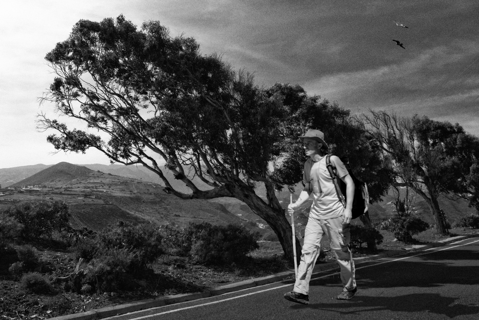 Wanderer Foto & Bild | erwachsene menschen, menschen in der freizeit ...