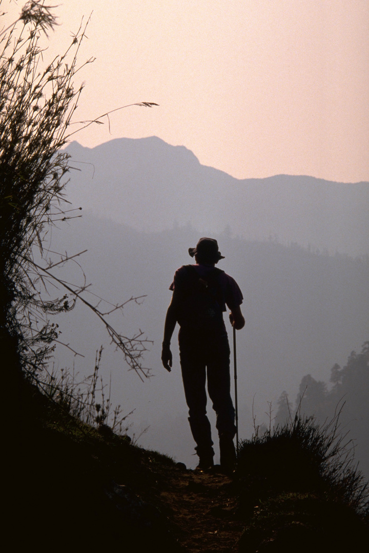 Wanderer Foto & Bild | erwachsene menschen, menschen in der freizeit ...