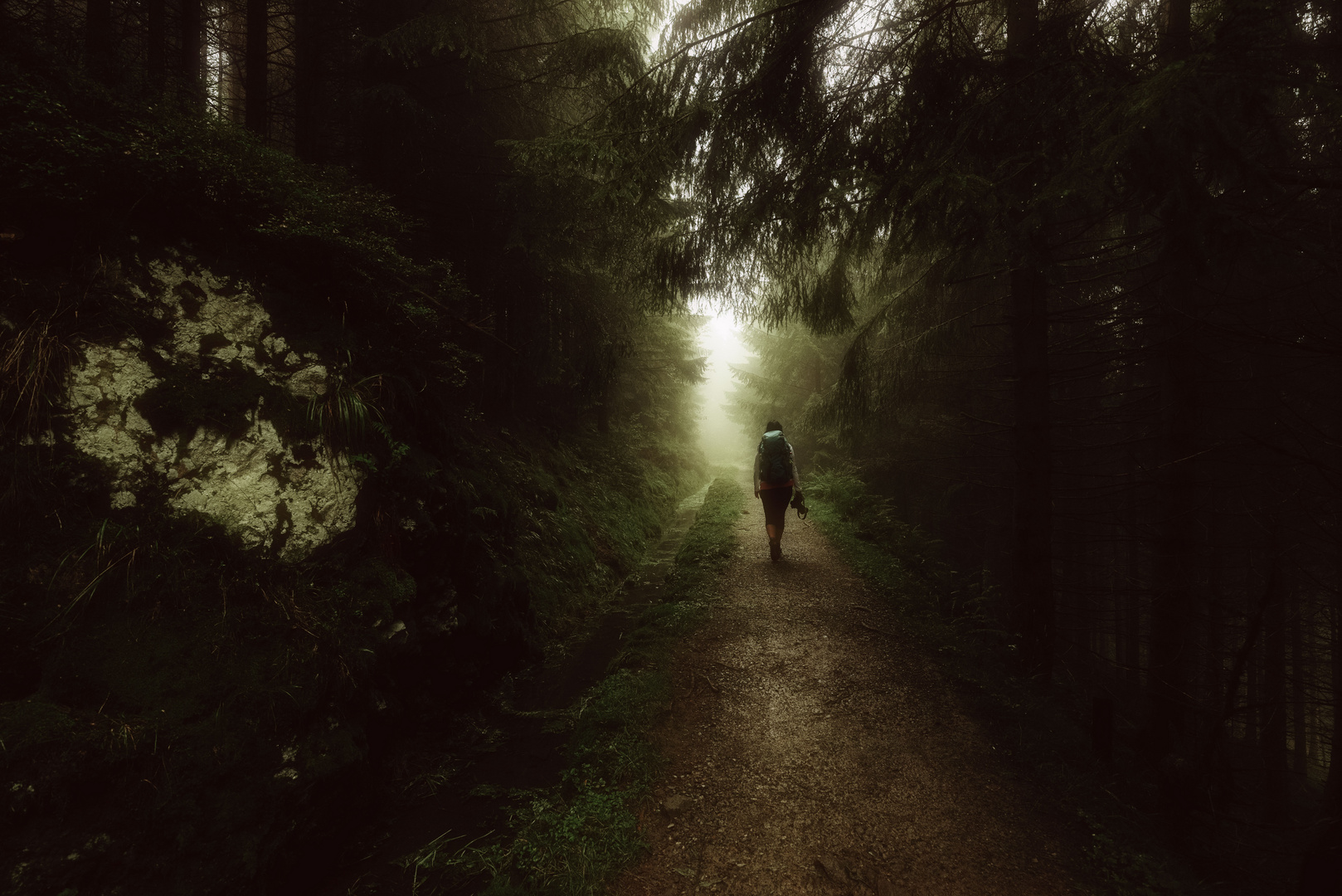 Wanderer Foto & Bild | landschaft, wald, outdoor Bilder auf fotocommunity