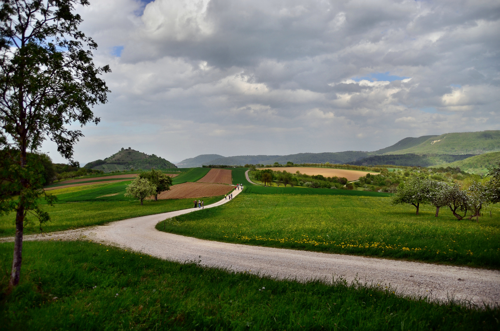Wandern am Albrand Foto & Bild | landschaft, wege und pfade, natur ...