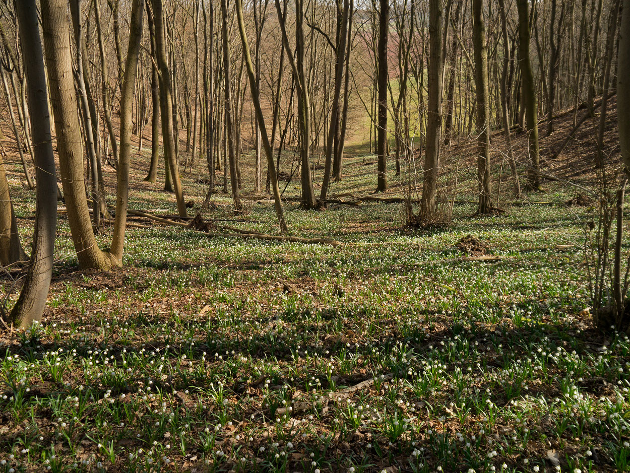 Wandern im Drei-Gleichen-Gebiet im Frühling 2012 Foto & Bild ...