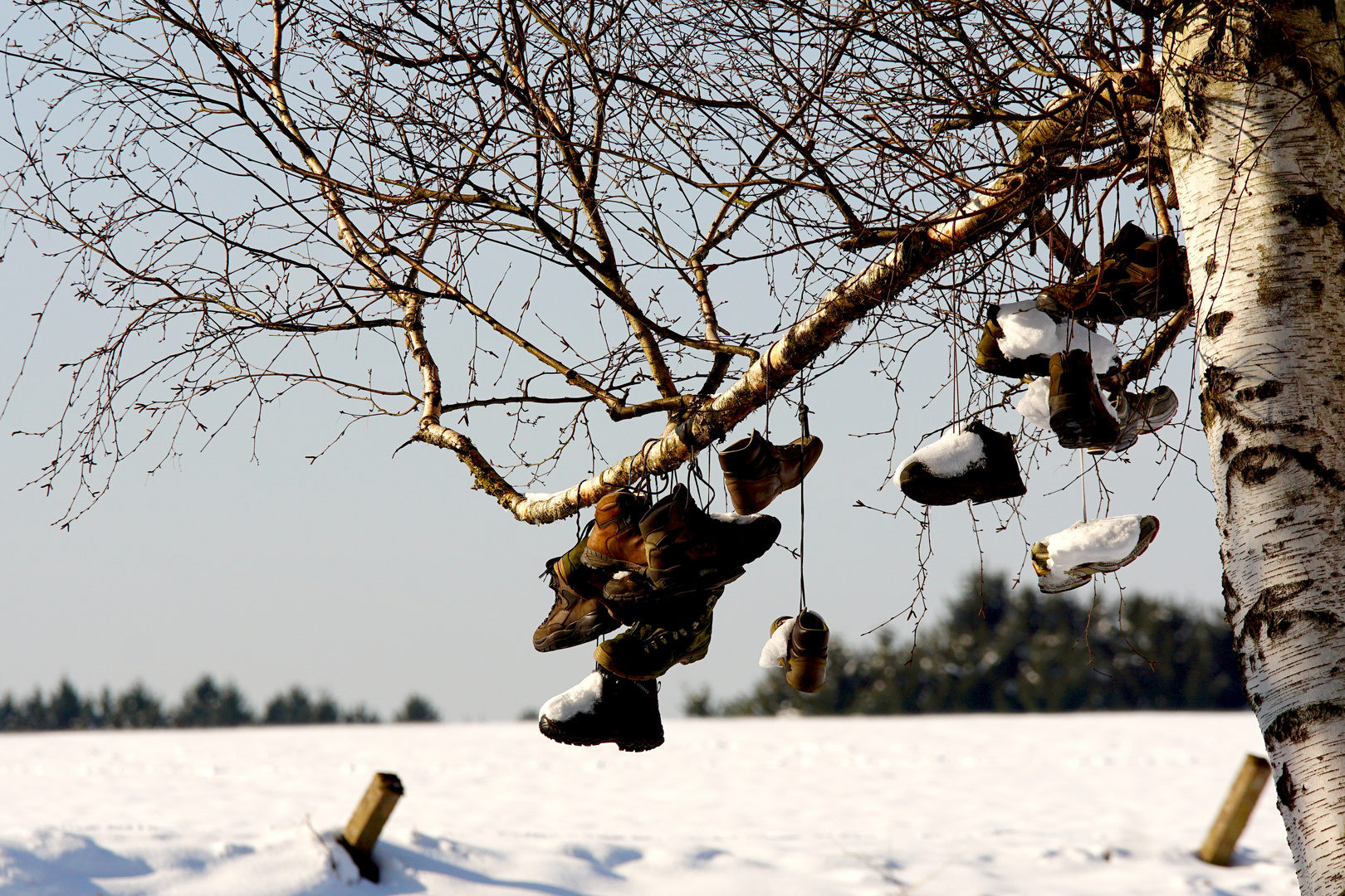 Wanderschuhe Foto & Bild | jahreszeiten, winter, landschaft & natur ...