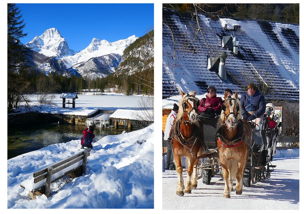 Wanderung bei minus 13 ° C Foto & Bild | tiere, haustiere, pferde, esel ...