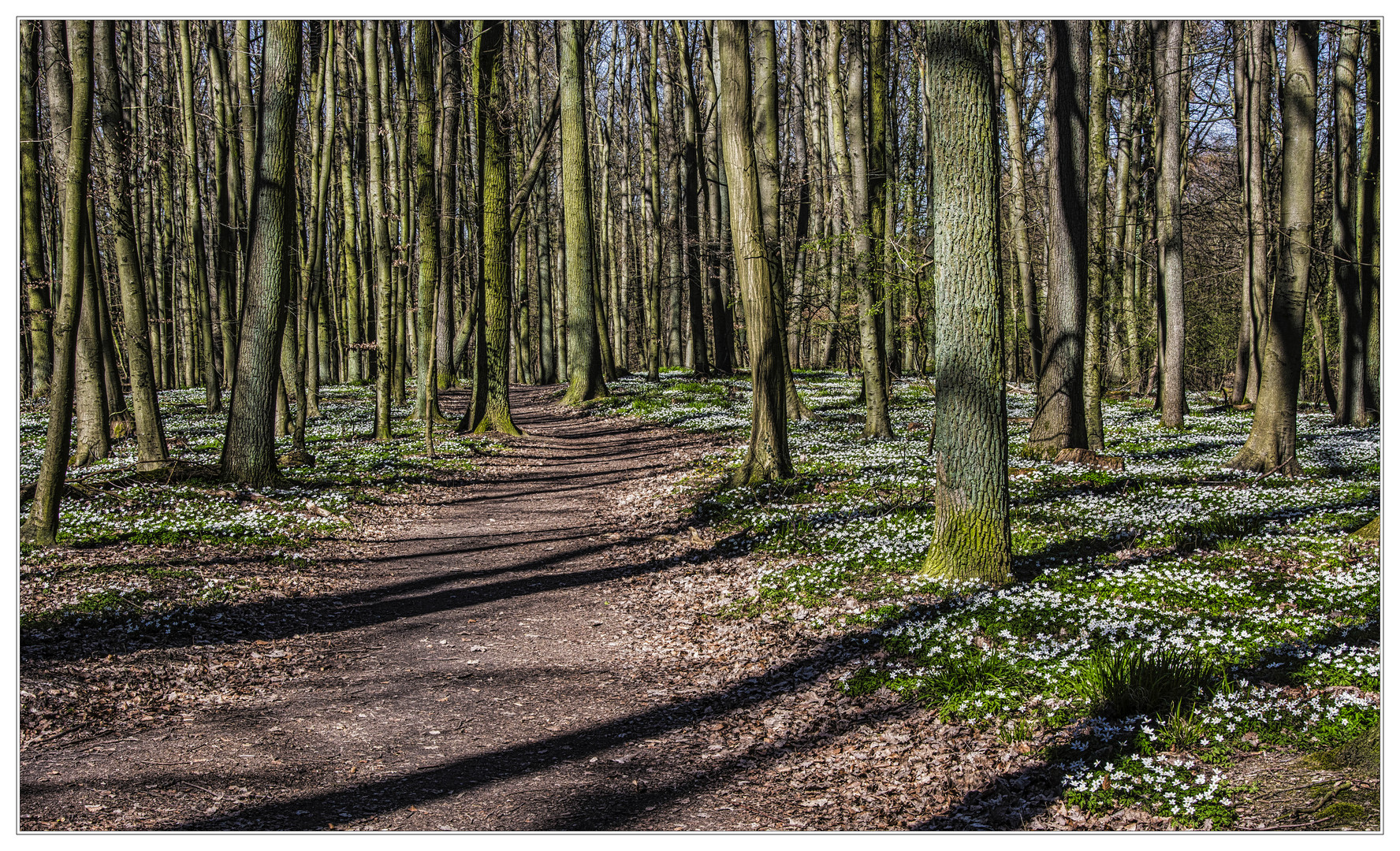 Wanderweg ... Foto & Bild | landschaft, jahreszeiten, frühling Bilder ...