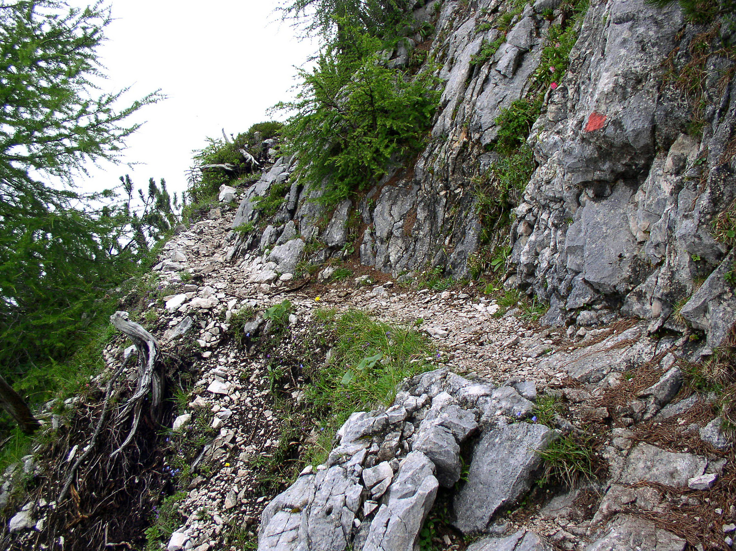Wanderweg Foto & Bild | landschaft, berge, hütten u. wege Bilder auf ...