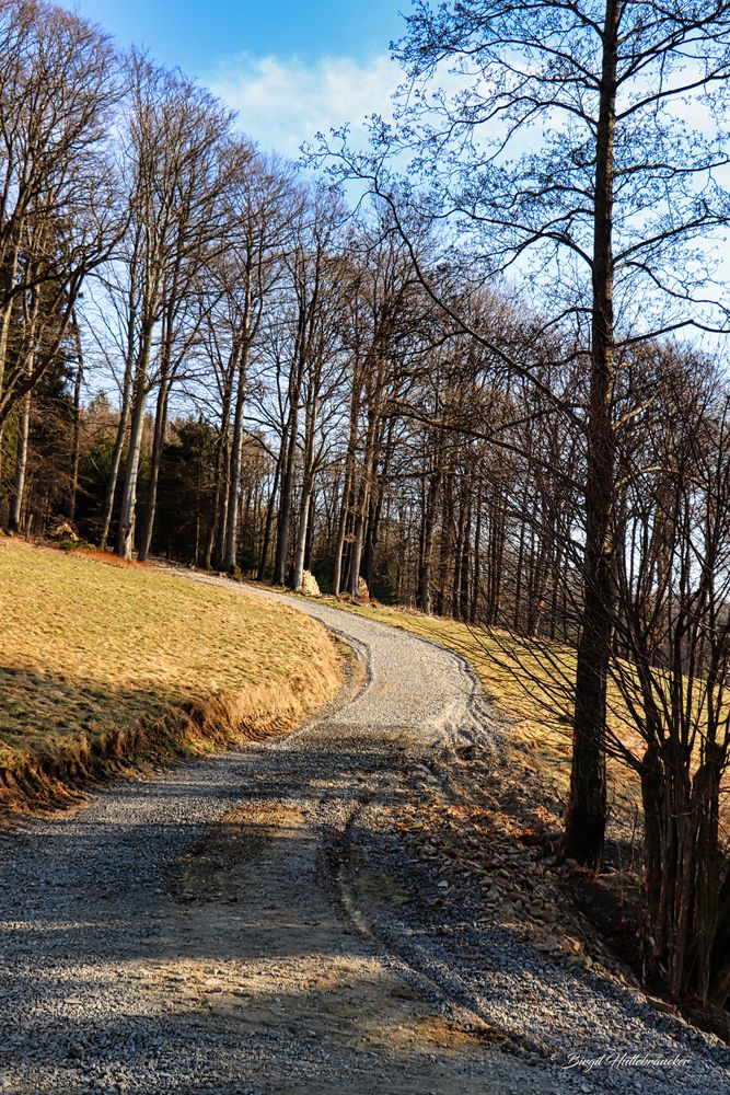Wanderweg Foto & Bild | landschaft, wald, wege und pfade Bilder auf ...