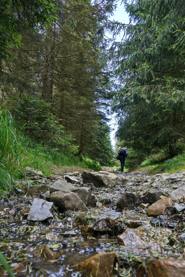Wanderweg? Foto & Bild | deutschland, europe, niedersachsen Bilder auf ...