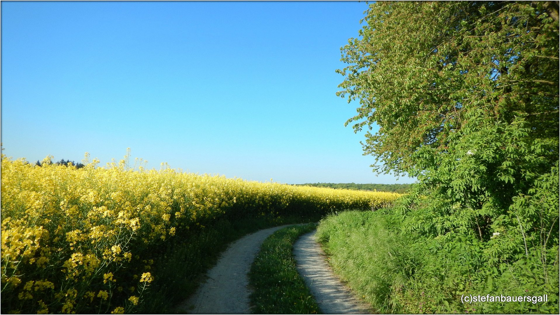 "wanderweg" Foto & Bild | natur, landscape, landschaft Bilder auf ...