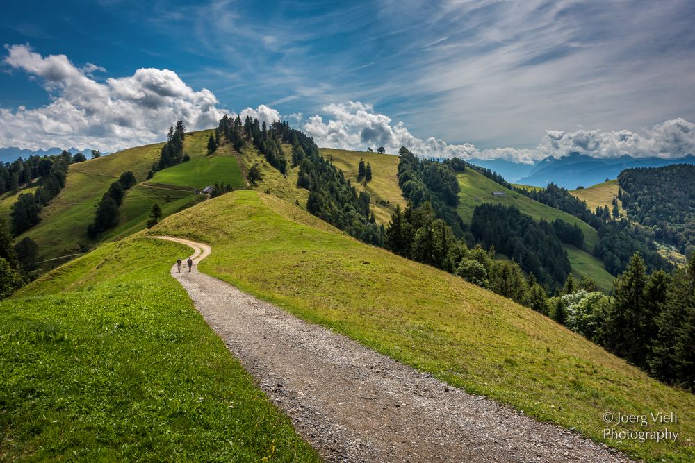 Wanderweg Foto & Bild | landschaft, wege und pfade, wald Bilder auf ...