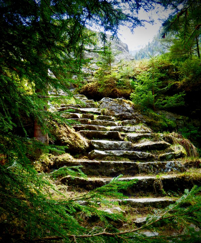 Wanderweg , Fellital Foto & Bild | landschaft, lebensräume, wald Bilder auf fotocommunity