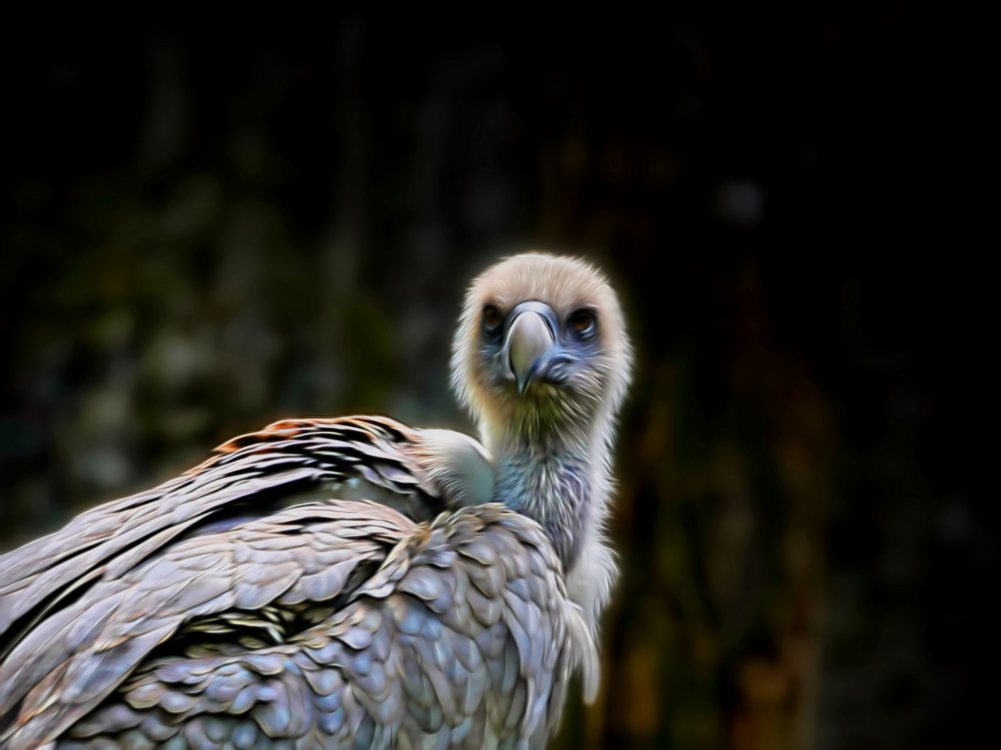"War extra noch beim Friseur" Foto & Bild | bearbeitungs - techniken, filtertechniken, tiere ...