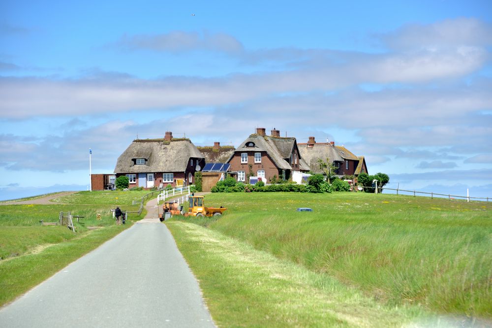 Warft auf Hallig Hooge #5 Foto & Bild | deutschland, europe, schleswig ...