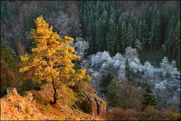 warm-kalt-hell-dunkel Foto & Bild | landschaft, natur Bilder auf ...