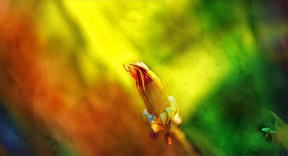 warten auf das öffnen bis die gedanken sich versinnlichen ... Foto & Bild | bearbeitungs ...