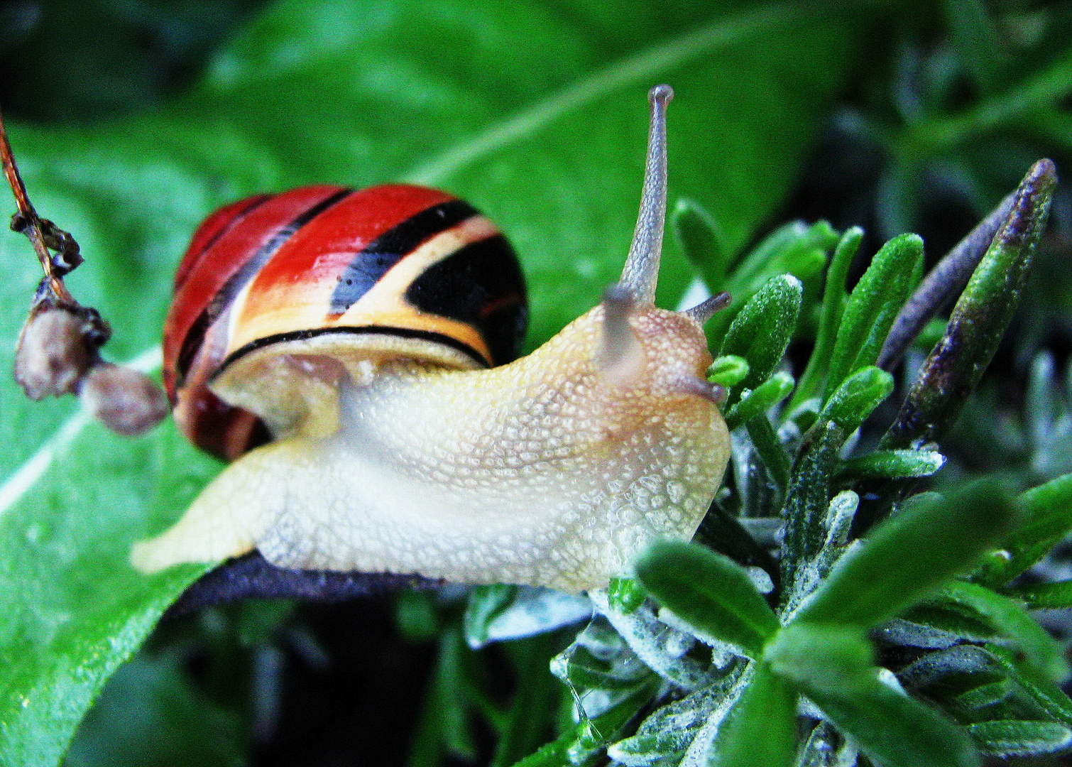 warum sagt jeder Igitt wenn er mich sieht?Wo ich doch so ein schönes ...